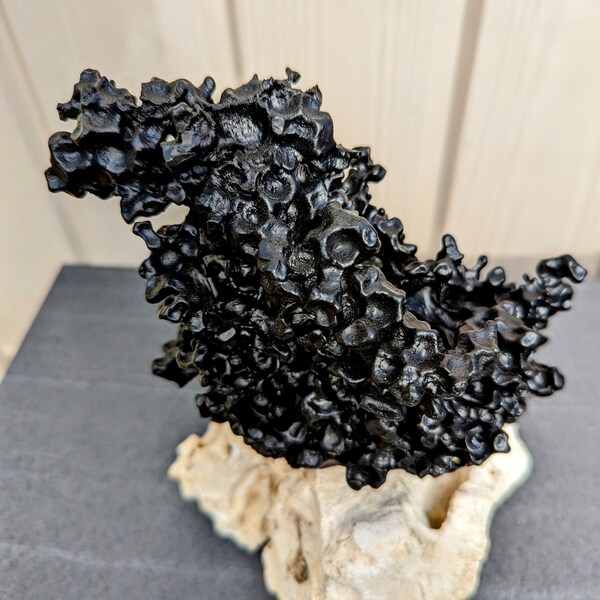 Anthill Casting - Etsy