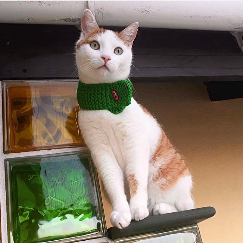 The Hand Knitted Toggle Cat Scarf | Etsy