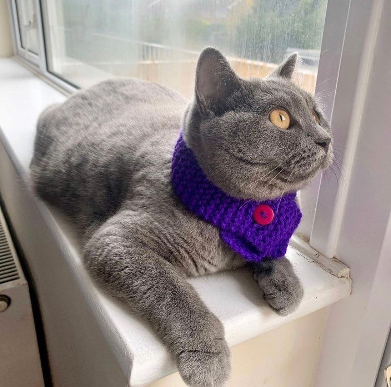 The Hand Knitted Button up Cat Scarf - Etsy
