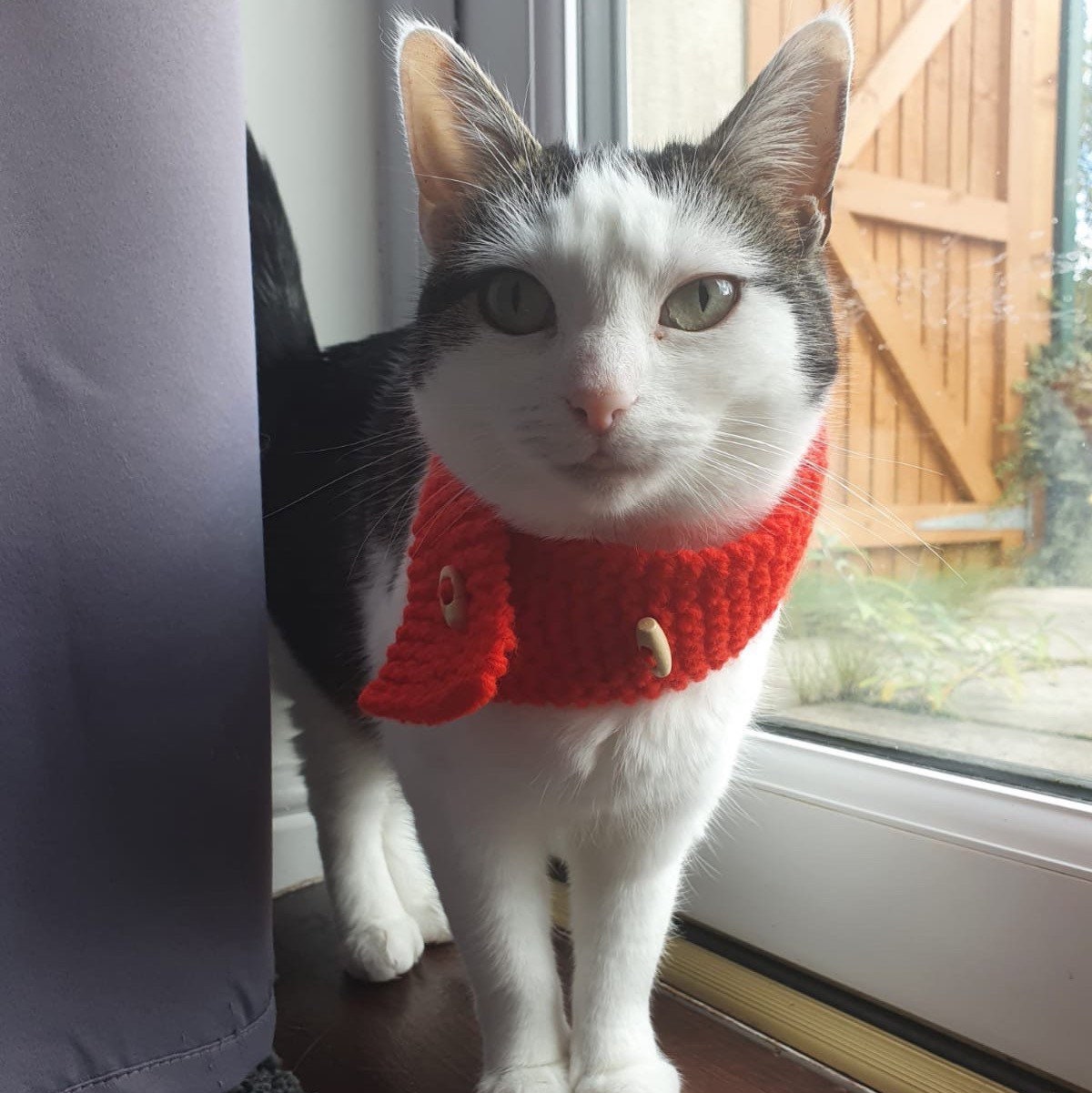 The Hand Knitted Toggle Cat Scarf - Etsy UK