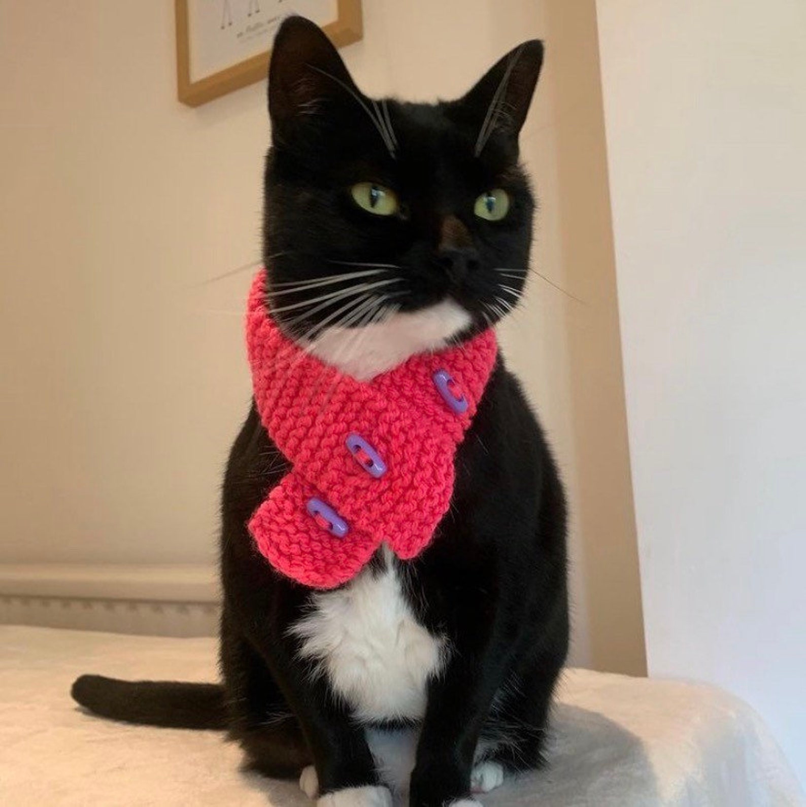 The Hand Knitted Toggle Cat Scarf - Etsy UK