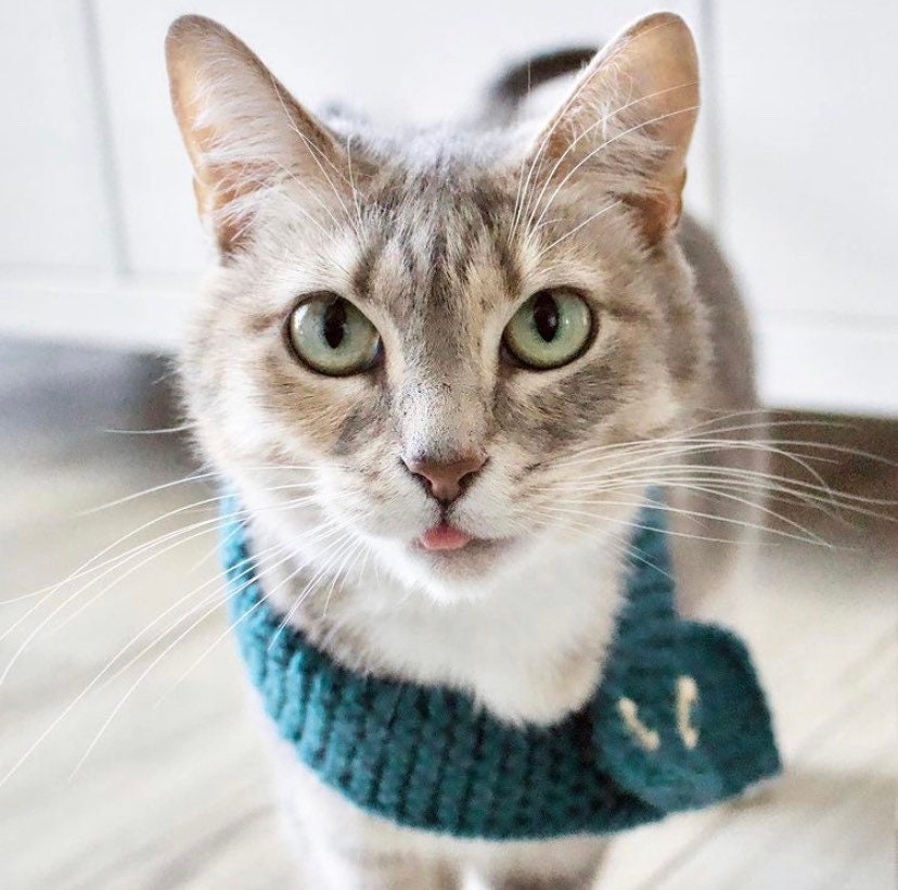 The Hand Knitted Toggle Cat Scarf - Etsy UK