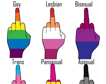 Lgbt Middle Finger - Etsy