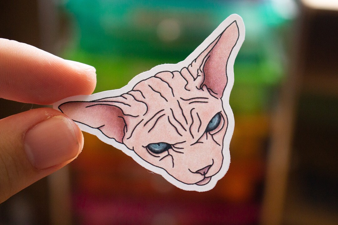 Grumpy Sphynx Cat Sticker - Etsy