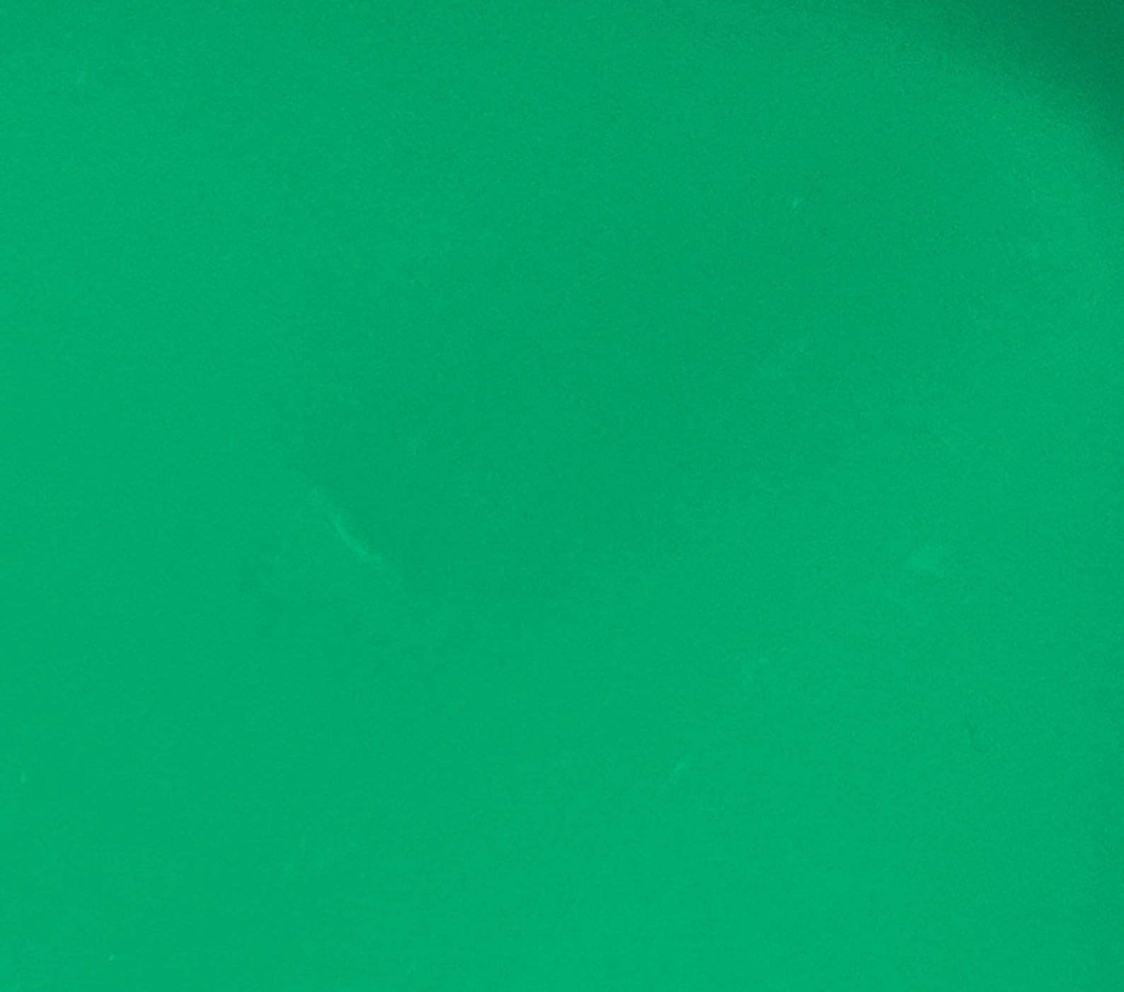Fuckin Mint Vinyl Decal - Etsy