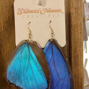 Blue Morpho Earrings Real Blue Morpho Butterfly Earrings Blue Morpho ...