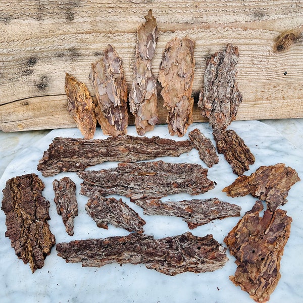 Tree Bark - Etsy