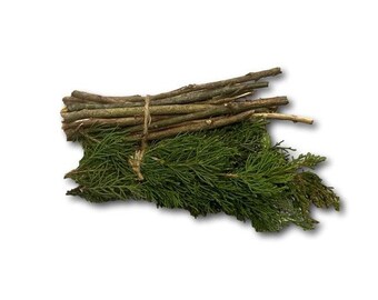 Eastern Red Cedar Cuttings - Etsy