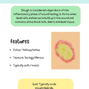 DIGITAL PDF Download the Little Book of Wounds, Wound Care, Wound ...