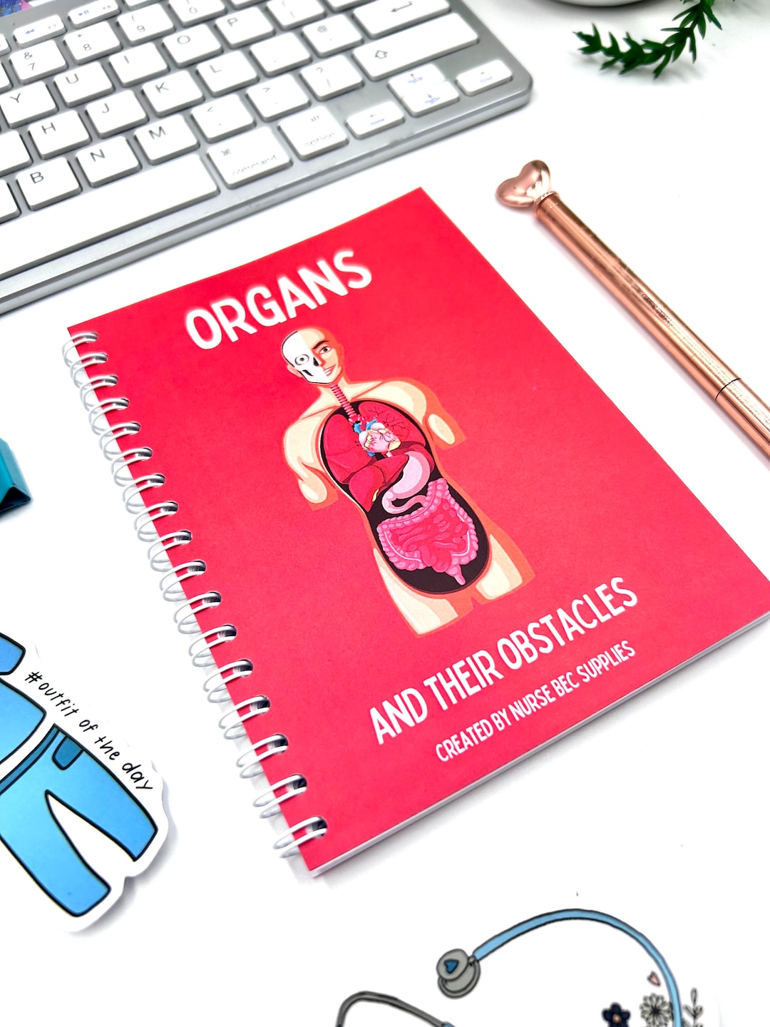 Organs and Their Obstacles, Anatomy and Physiology, Student Nurses ...