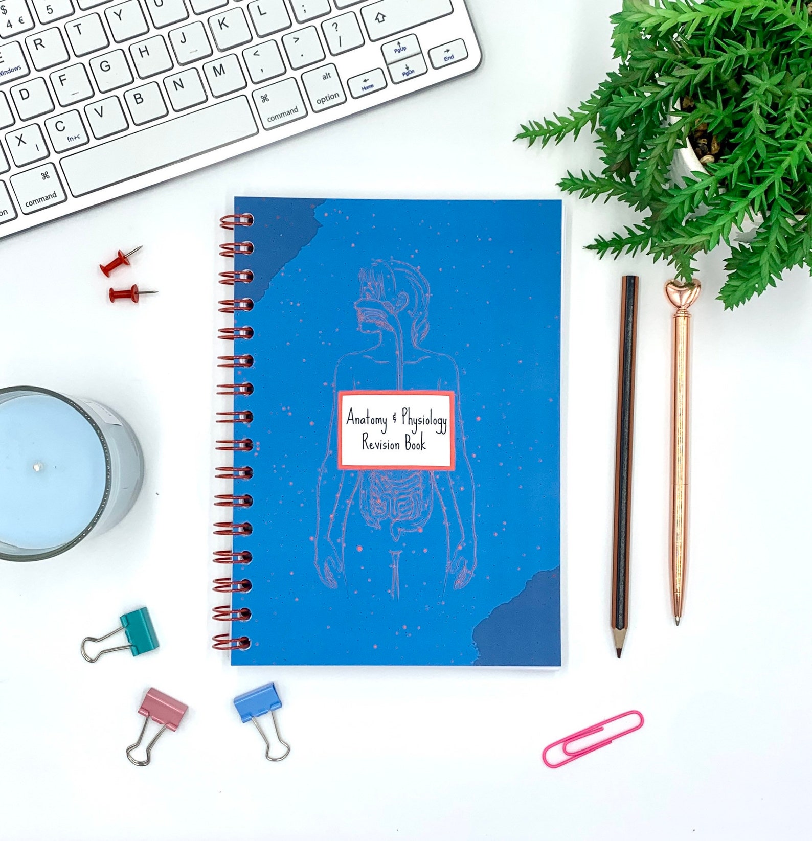 Anatomy and Physiology Revision Note Book. Student Nurse - Etsy UK