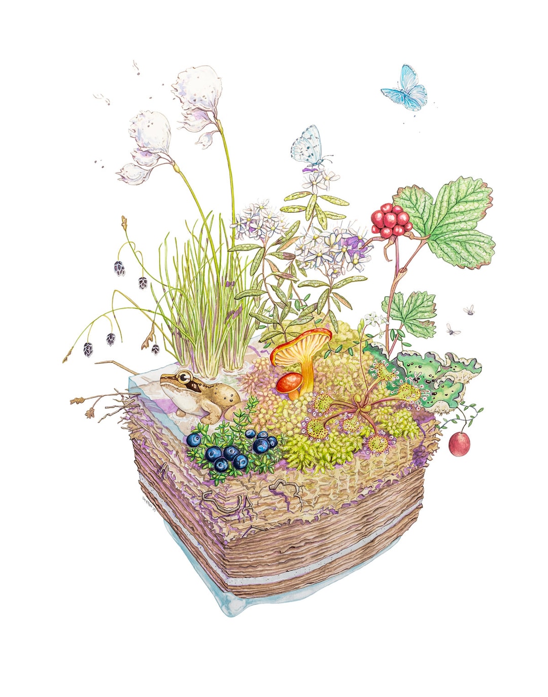 The Peatlands: Peat Cross-section Limited Edition Print by Alaskan ...