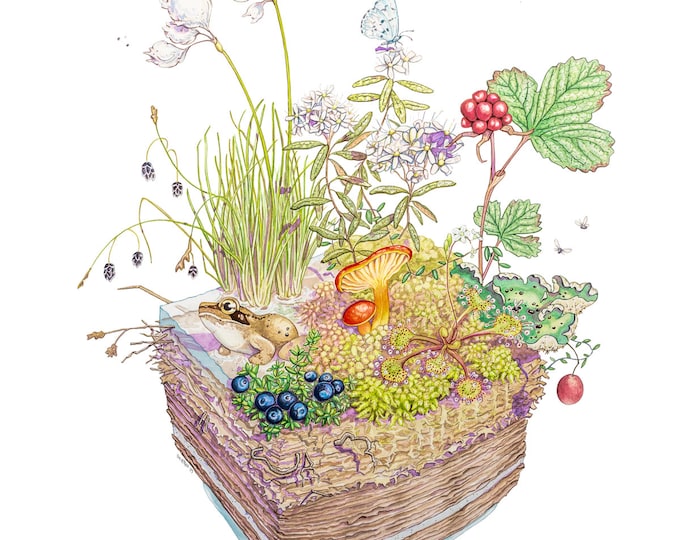 The Peatlands: Peat Cross-section Limited Edition Print by Alaskan ...