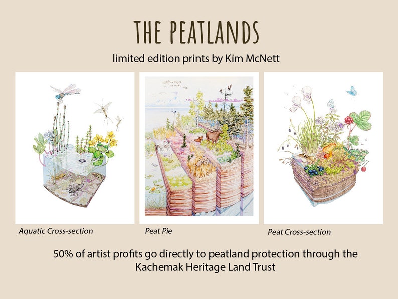 The Peatlands: Peat Cross-section Limited Edition Print by Alaskan ...