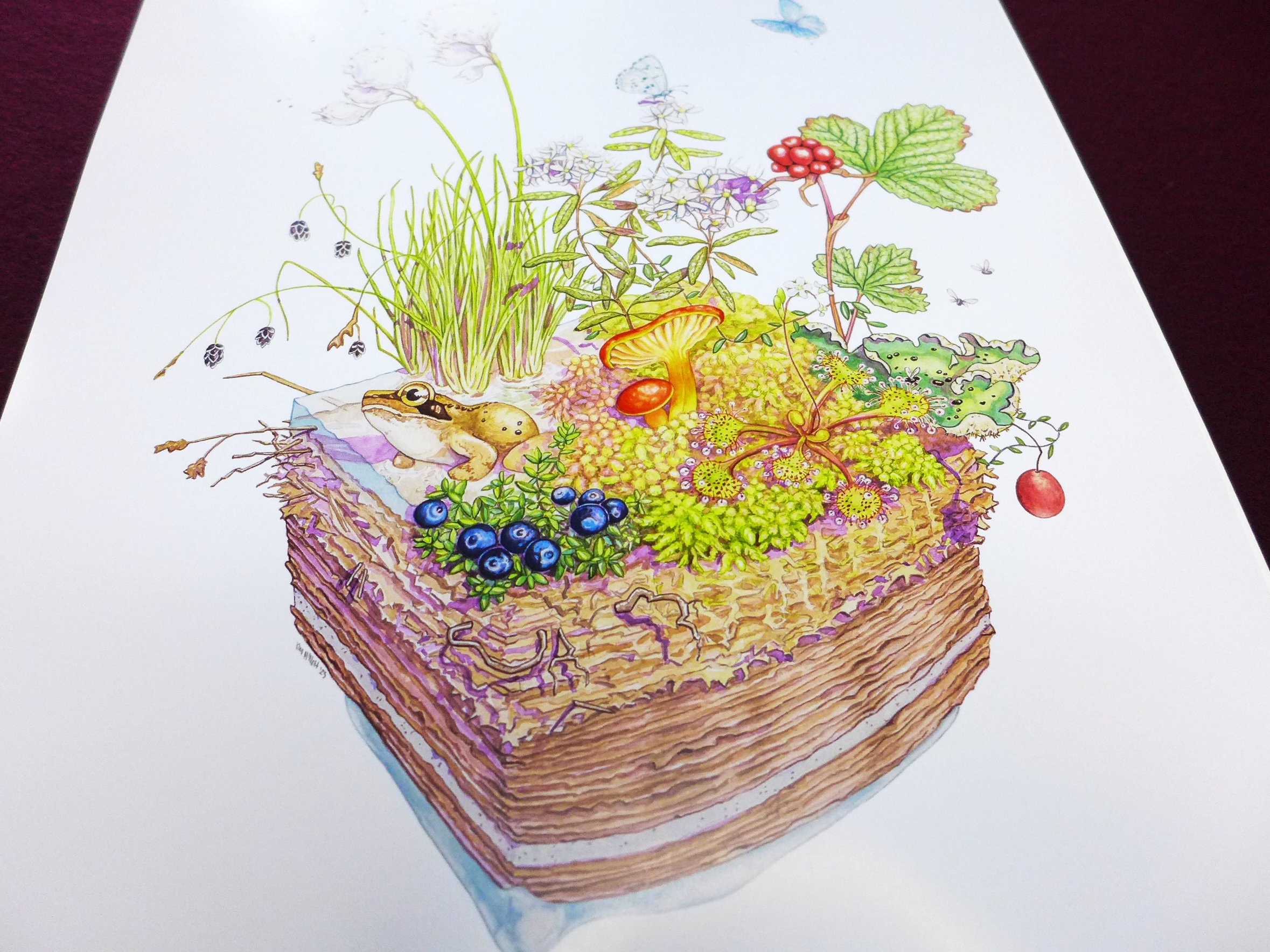 The Peatlands: Peat Cross-section Limited Edition Print by Alaskan ...