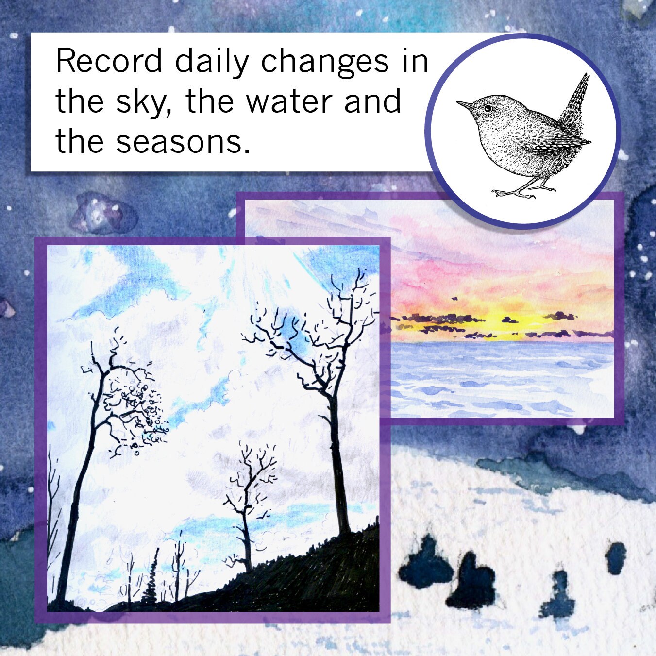 Printable Booklet to Teach Nature Journaling: Full-color Instructional ...