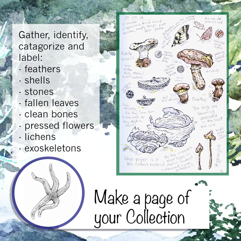 Printable Booklet to Teach Nature Journaling: Full-color - Etsy