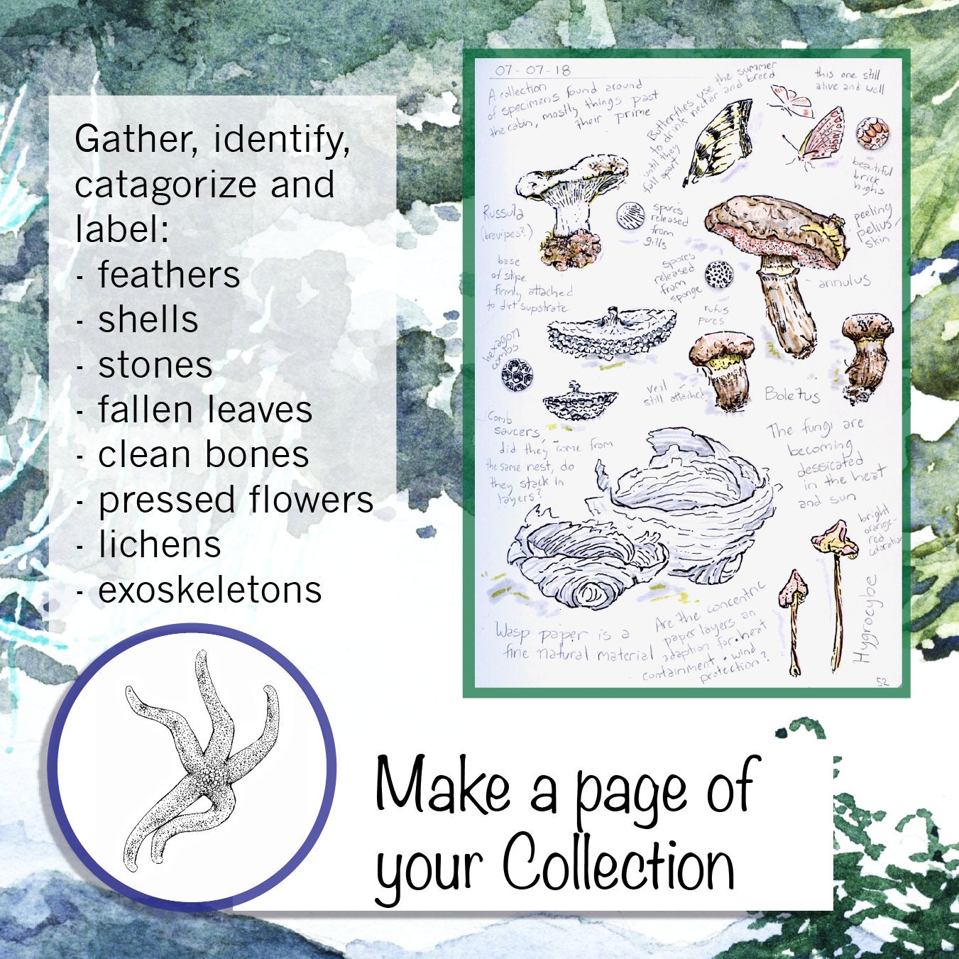 Printable Booklet to Teach Nature Journaling: Full-color - Etsy