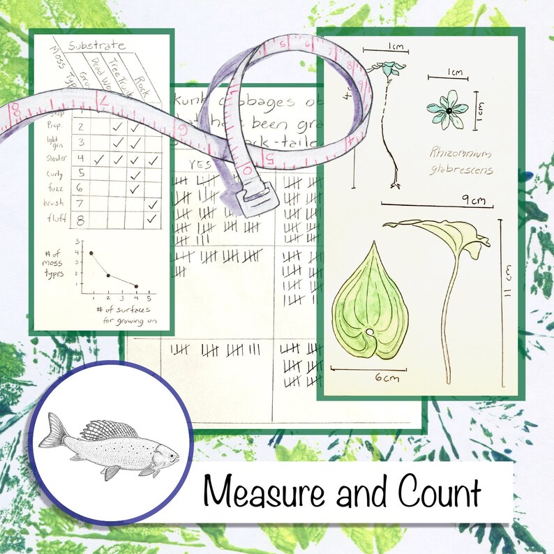 Printable Booklet to Teach Nature Journaling: Full-color Instructional ...