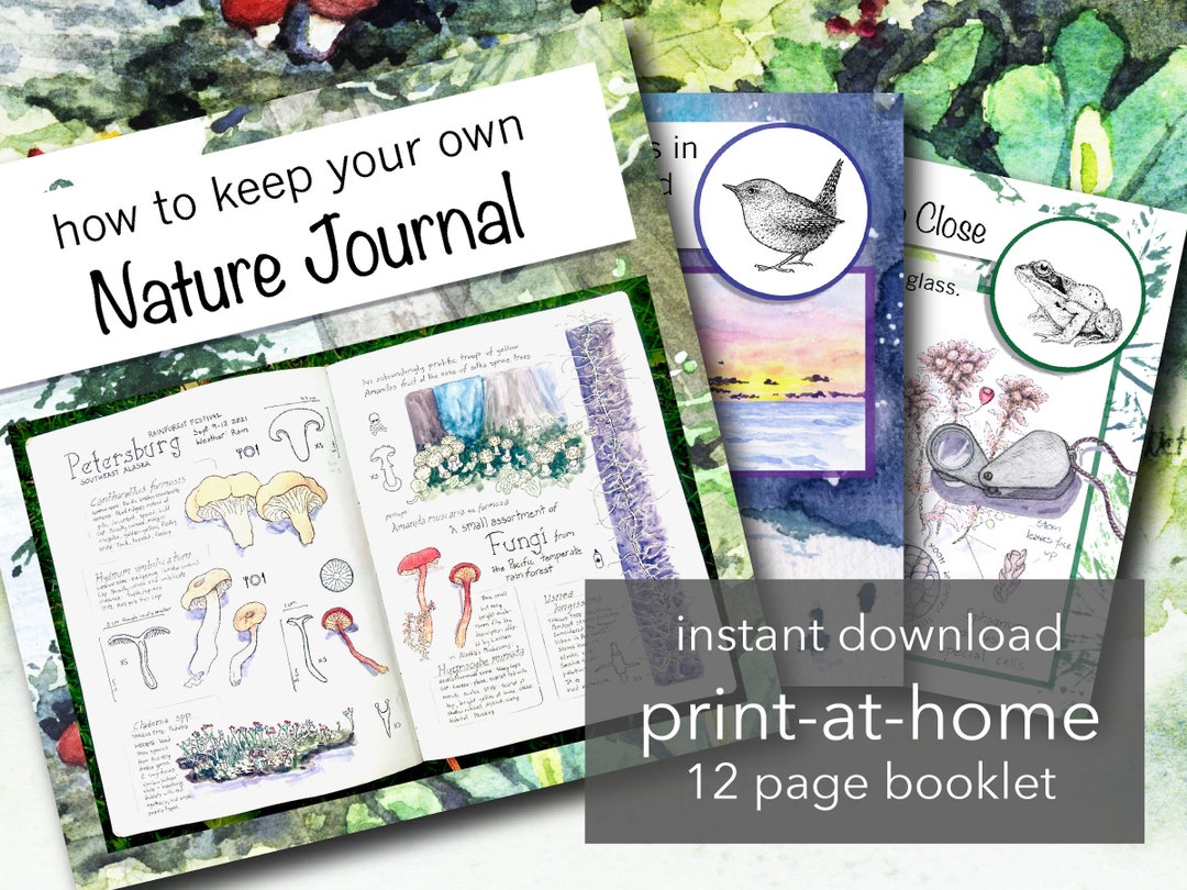 Printable Booklet to Teach Nature Journaling: Full-color Instructional ...