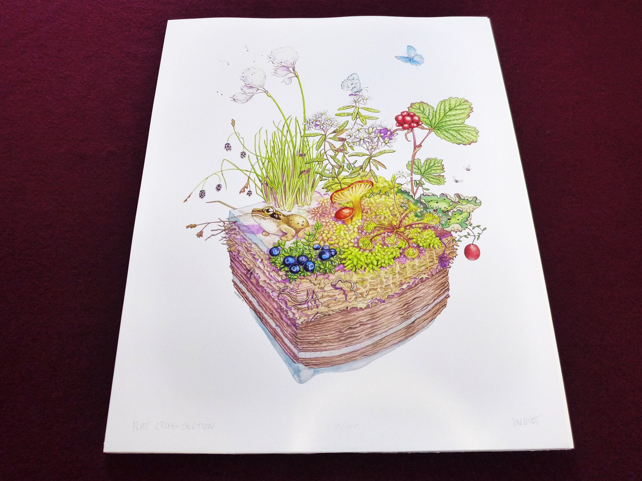 The Peatlands: Peat Cross-section Limited Edition Print by Alaskan ...
