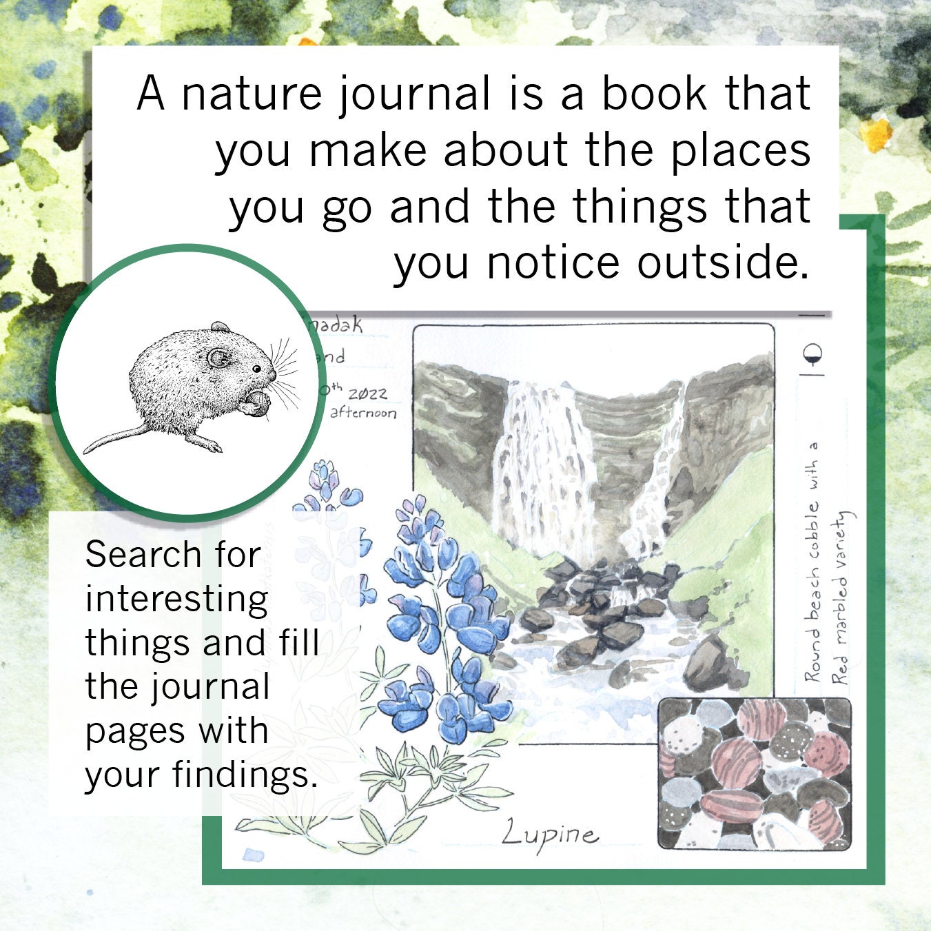 Printable Booklet to Teach Nature Journaling: Full-color Instructional ...