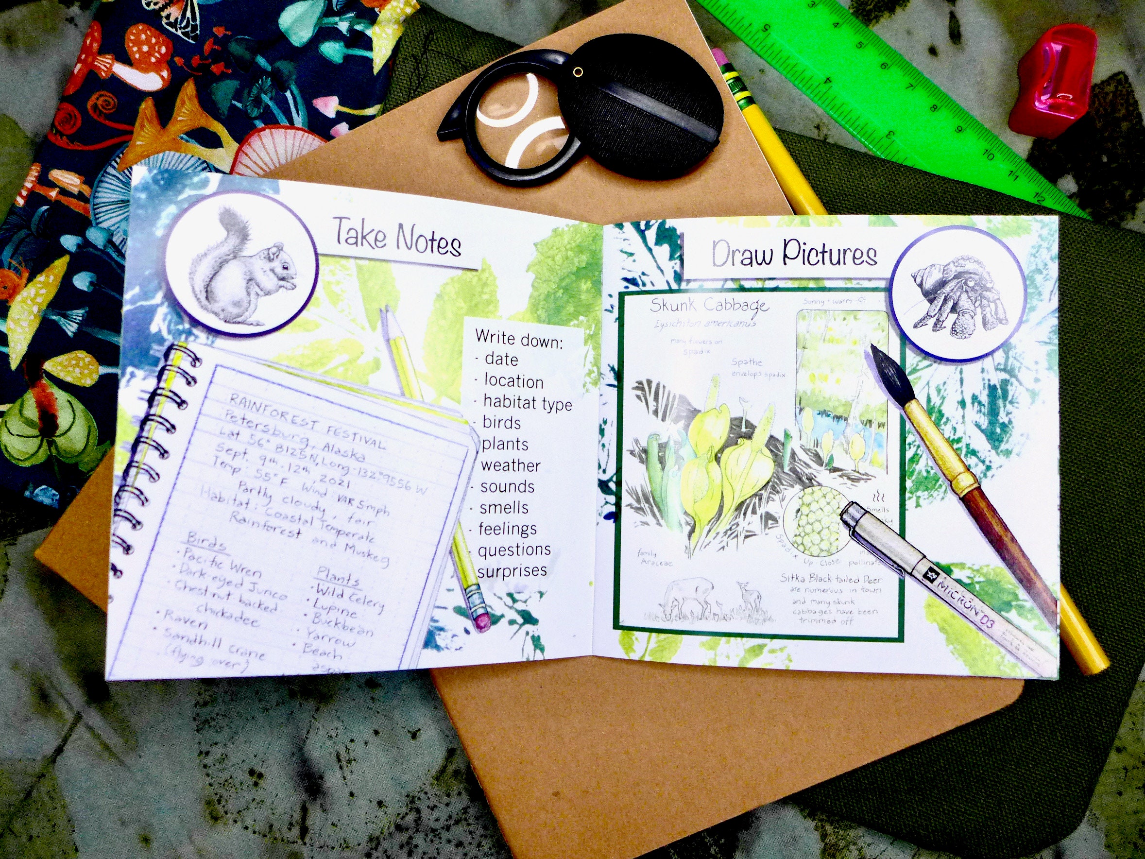 Nature Journal How-to Booklet: Pocket Guide for Kids, Field Sketching ...