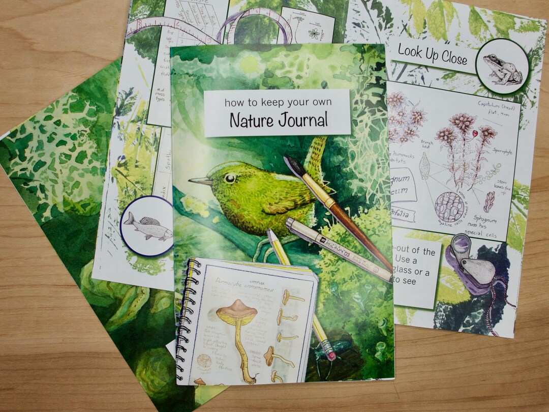 Nature Journal How-to Booklet: Pocket Guide for Kids, Field Sketching ...
