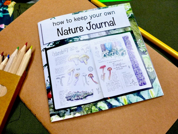 Nature Journal How-to Booklet: Pocket Guide for Kids Field - Etsy
