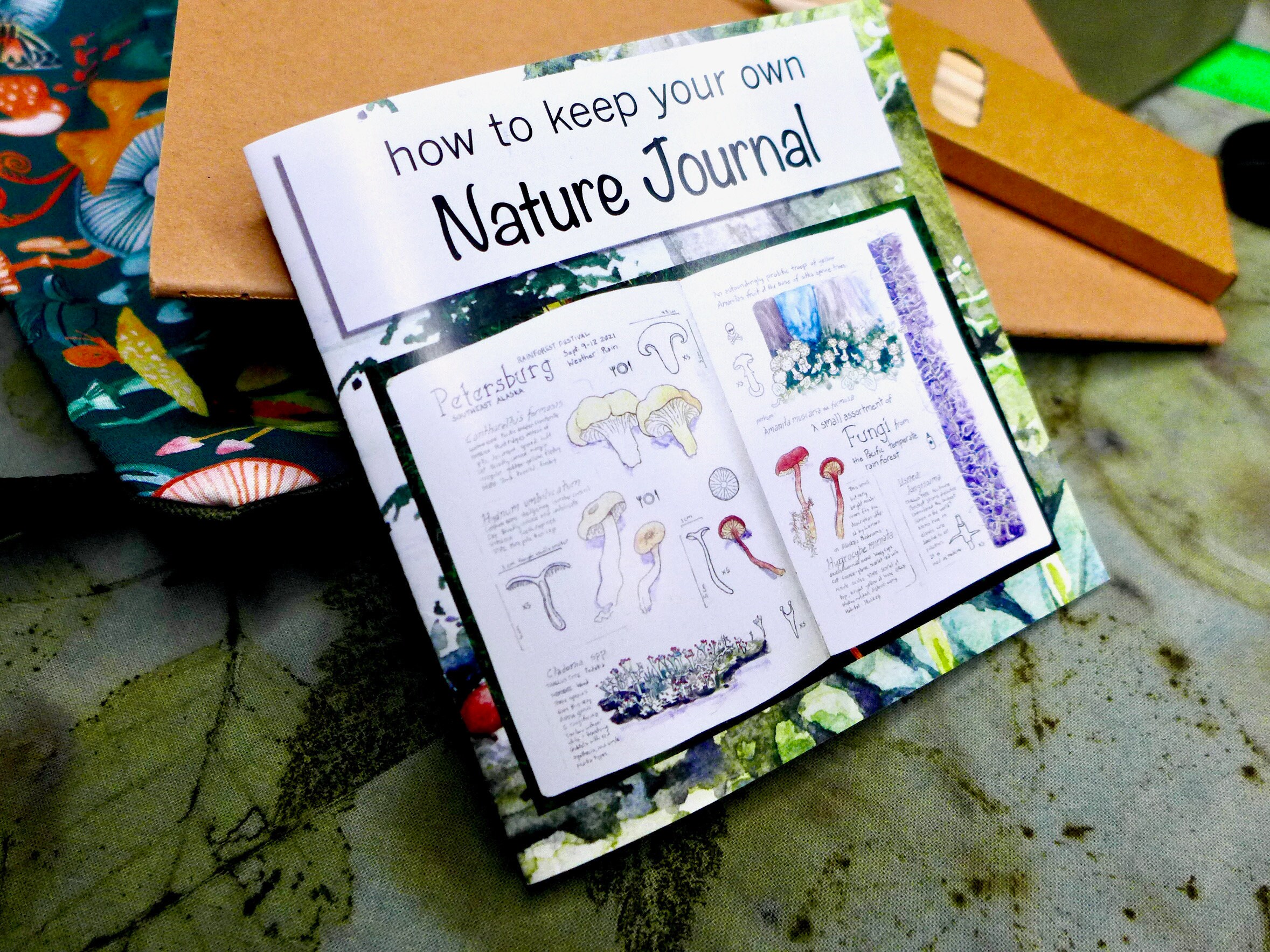 Nature Journal How-to Booklet: Pocket Guide for Kids, Field Sketching ...