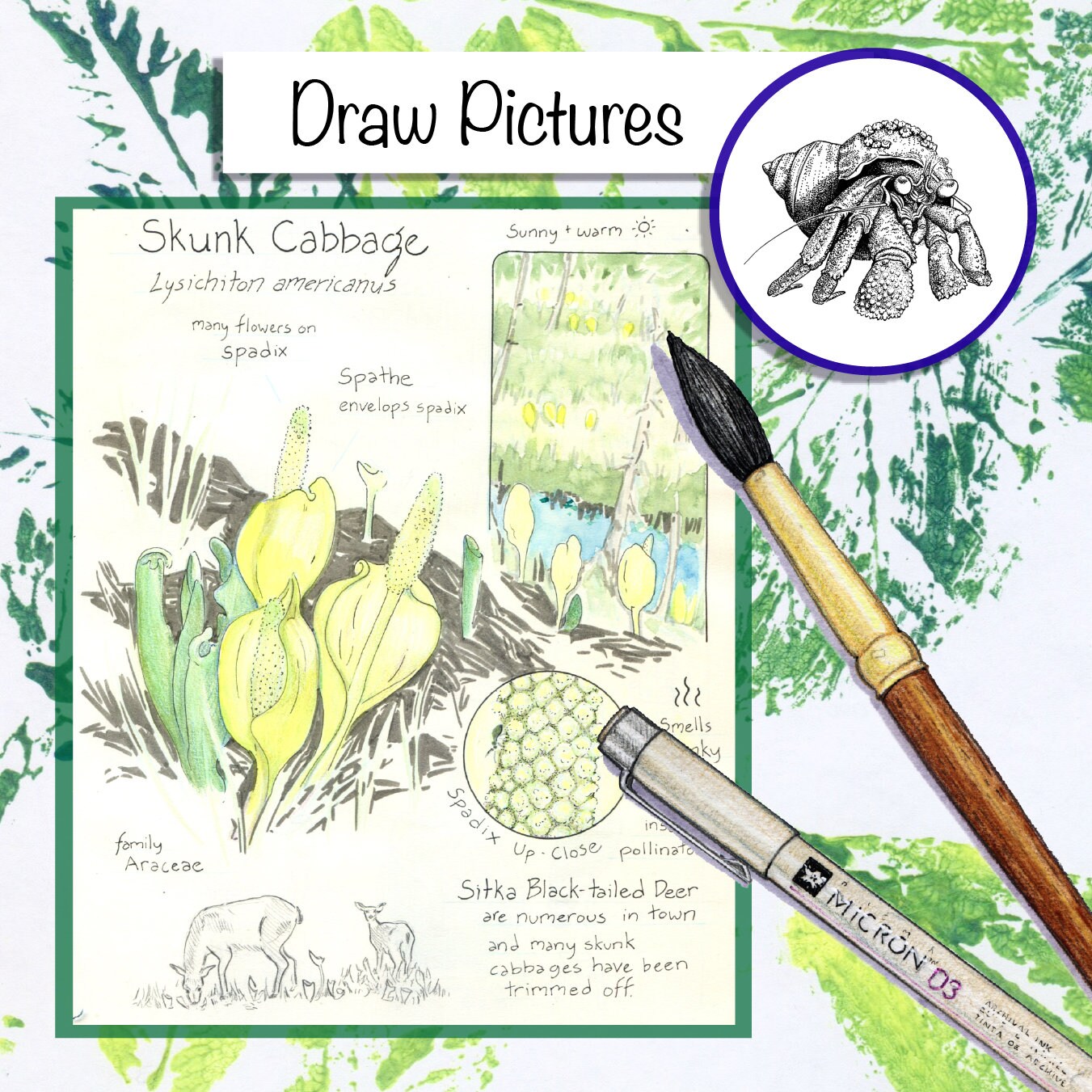 Printable Booklet to Teach Nature Journaling: Full-color Instructional ...