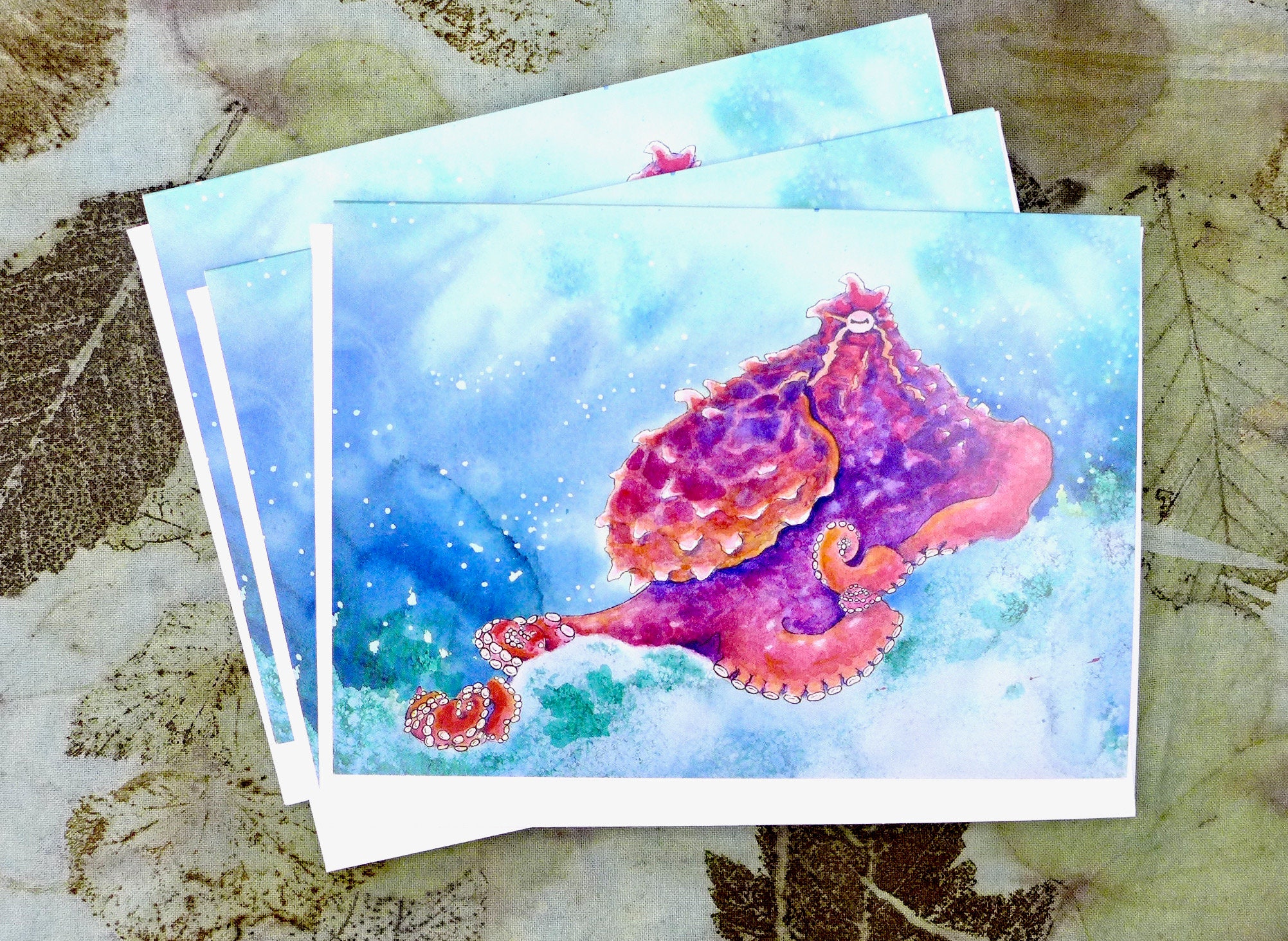 Octopus Color Gift Card Set: Watercolor Artwork by Alaskan Artist Kim ...