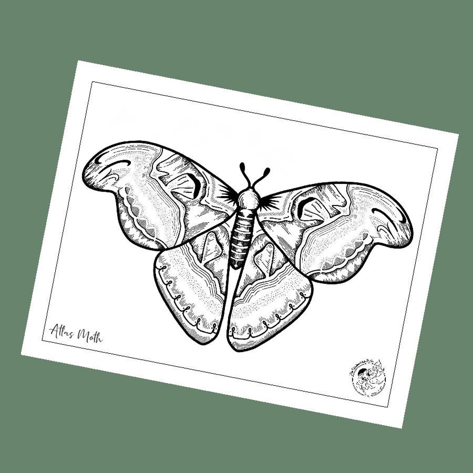 Atlas Moth Coloring Page Adult Coloring Page Printable | Etsy