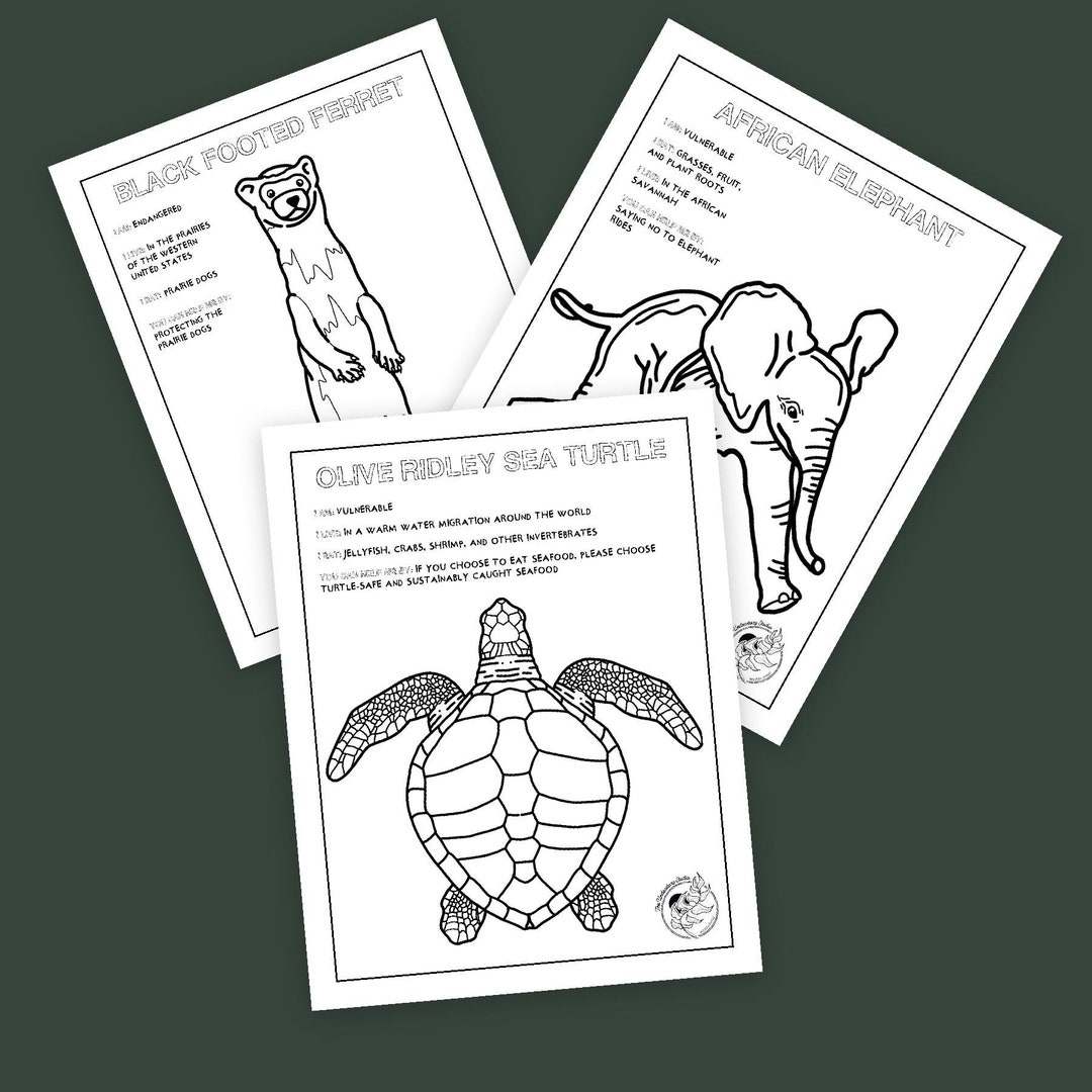 Endangered Species Coloring Pages: Educational Wildlife Illustrations ...