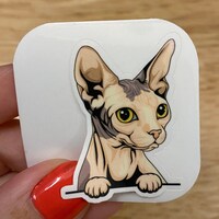 Sphynx Cat Birthday Sticker - Etsy
