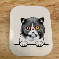 Devon Rex Sticker Pack || 6 Stickers || Cat Breed Pun - Etsy