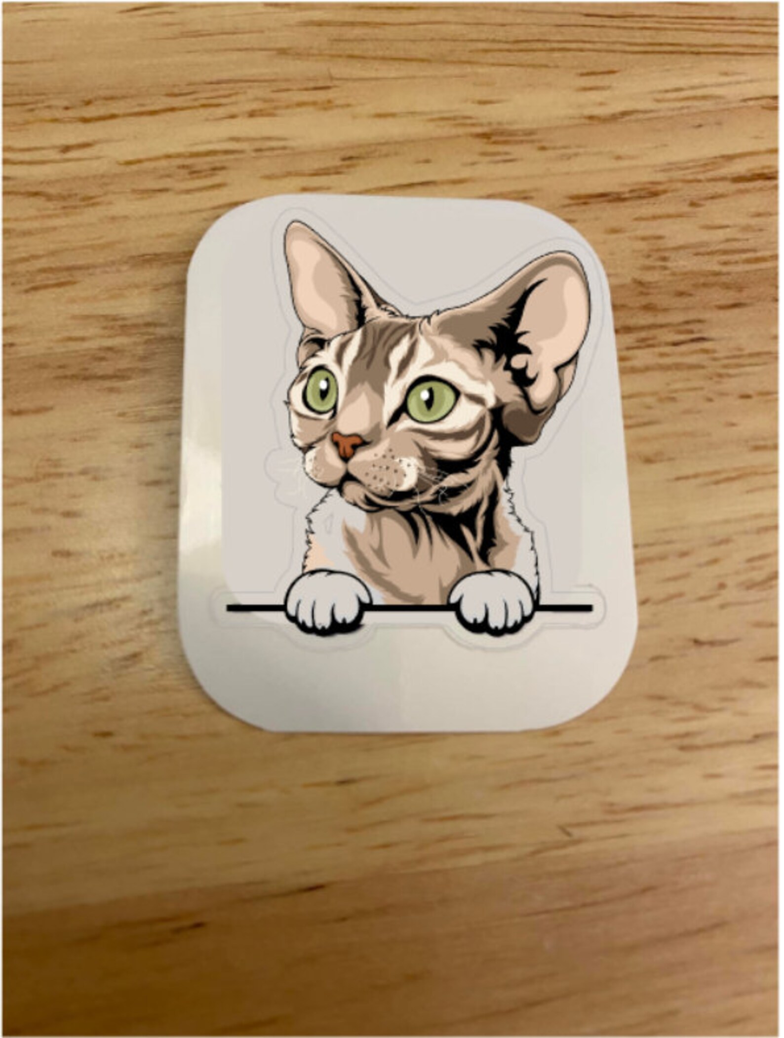 Devon Rex Tabby Cat Sticker, Cat Sticker, Holographic Option, Cute Cat ...
