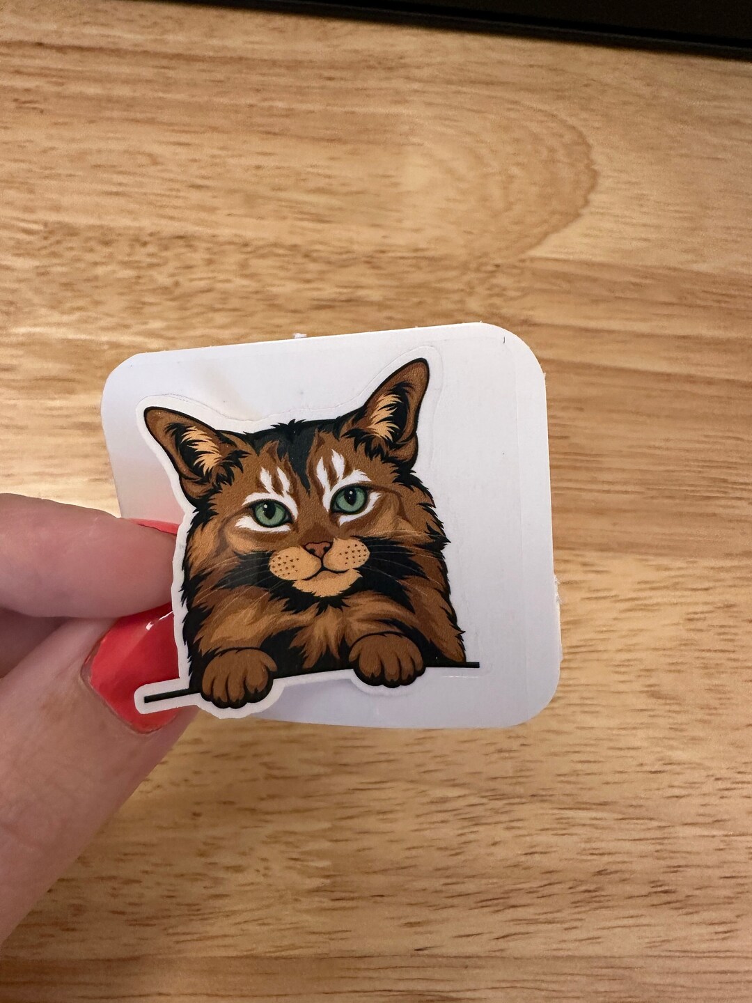 Somali STICKER, Holographic Option, Cute Cat Sticker, Fluffy Cat ...