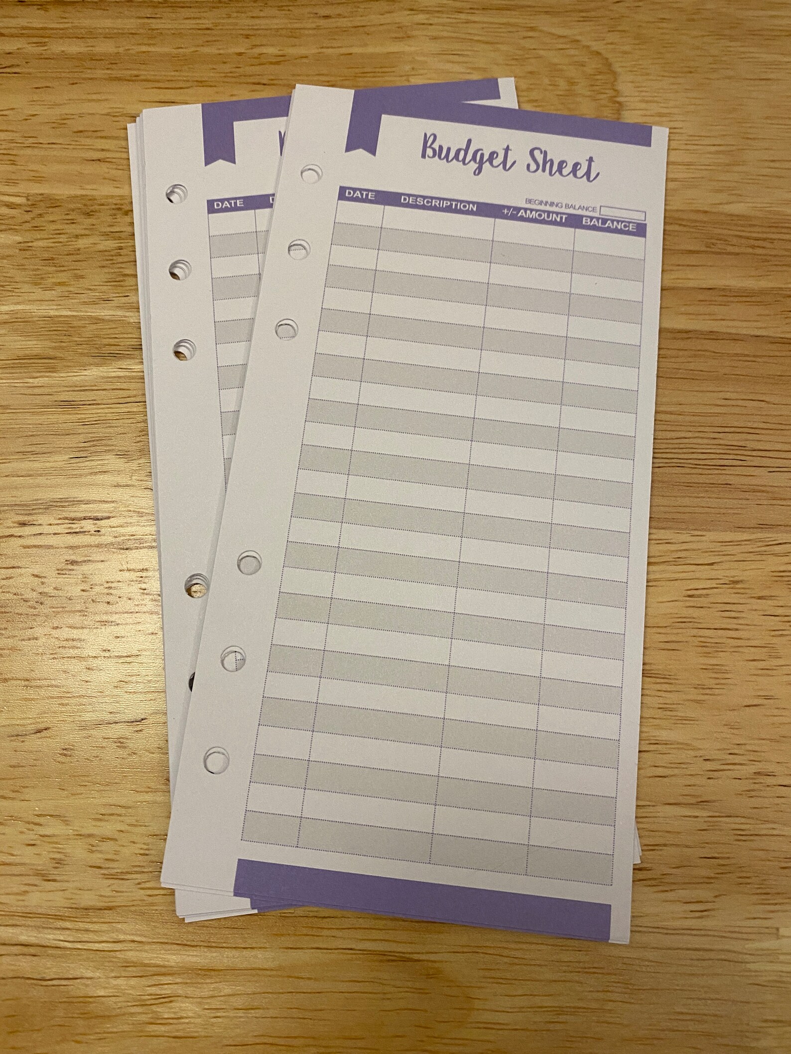 Cash Budgeting Sheets Budget Insert Trackers for A6 Binders - Etsy