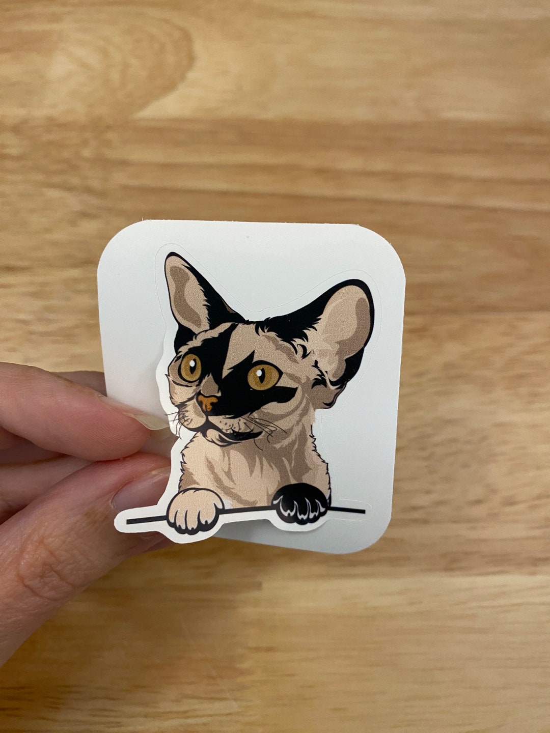 Tortie Devon Rex Sticker, Cat Sticker, Devon Rex, Cute Cat Sticker ...