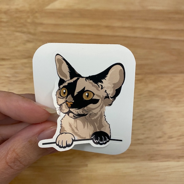 Devon Rex - Etsy