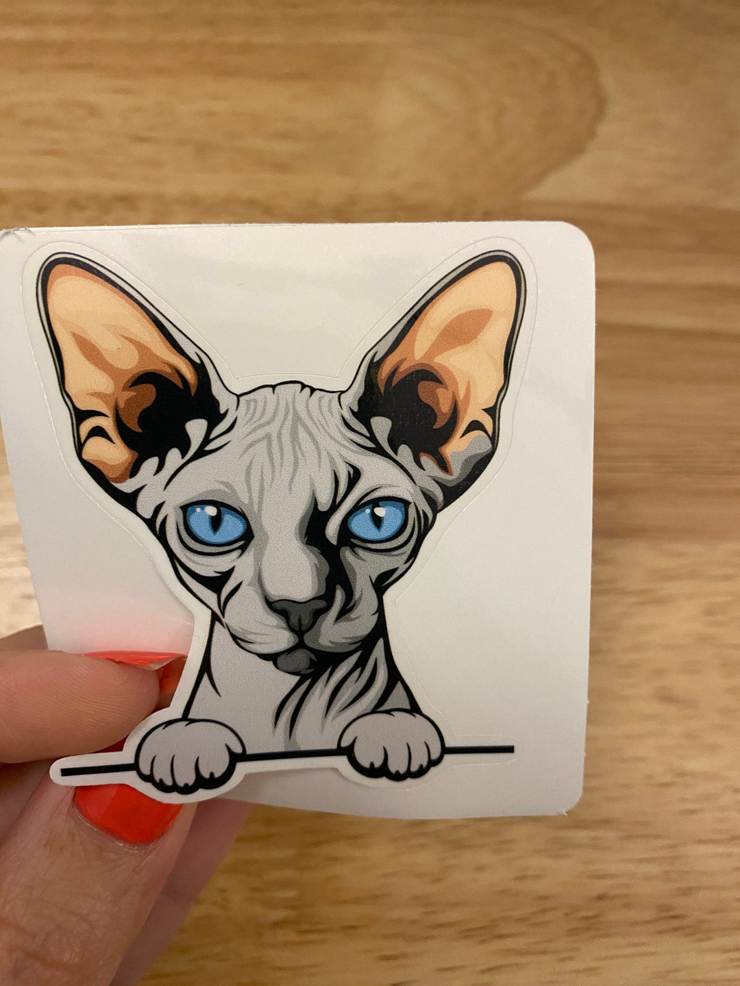 Blue Sphynx Cat, Hairless Grey Cat Sticker, Holographic Option, Cute ...