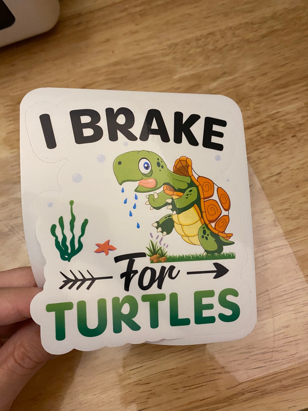 I Brake for Turtles STICKER Green Turtle Sticker Turtle - Etsy