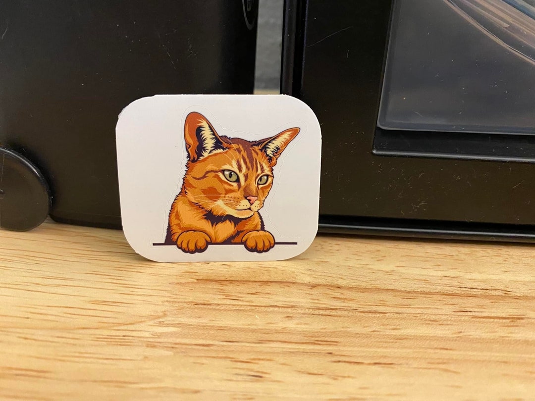 Abyssinian Cat STICKER, Ticked Tabby Cat Sticker, Cute Cat Sticker ...