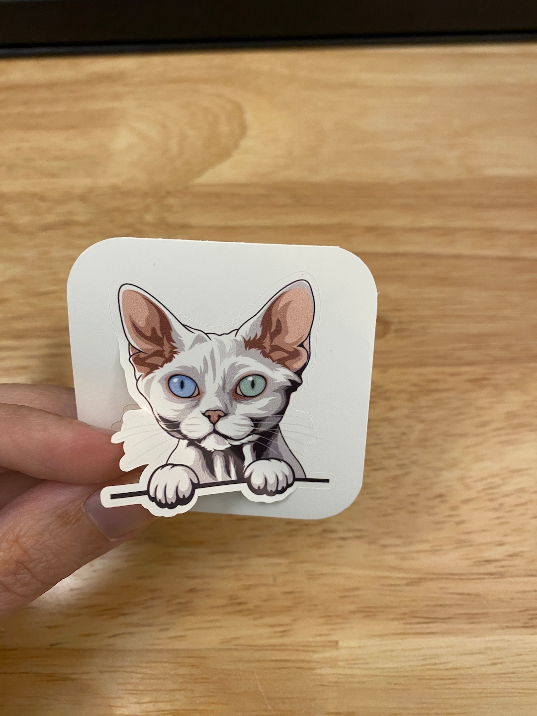Odd Eyes Devon Rex White Cat Sticker, Cat Sticker, Heterochromia Devon ...