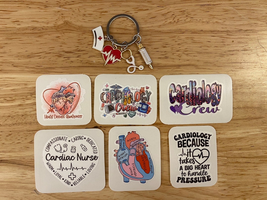 Cardiologist Key Chain and 6 Stickers Bundle Set, Cardiology Stickers ...