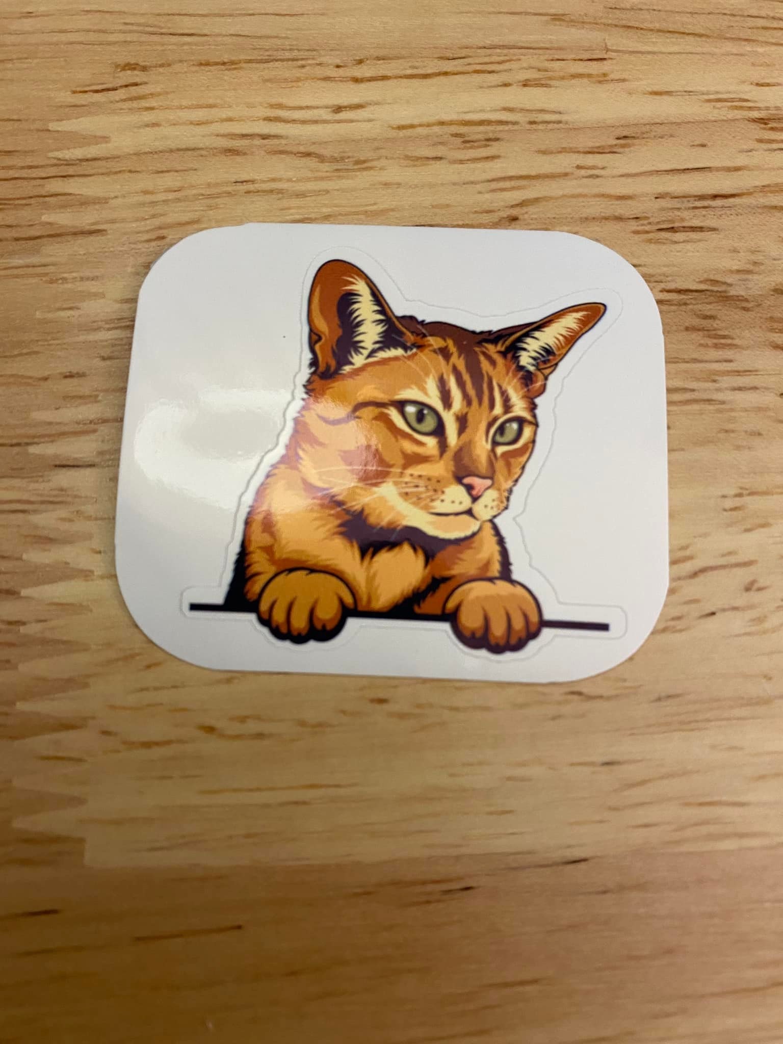 Abyssinian Cat STICKER, Ticked Tabby Cat Sticker, Cute Cat Sticker ...