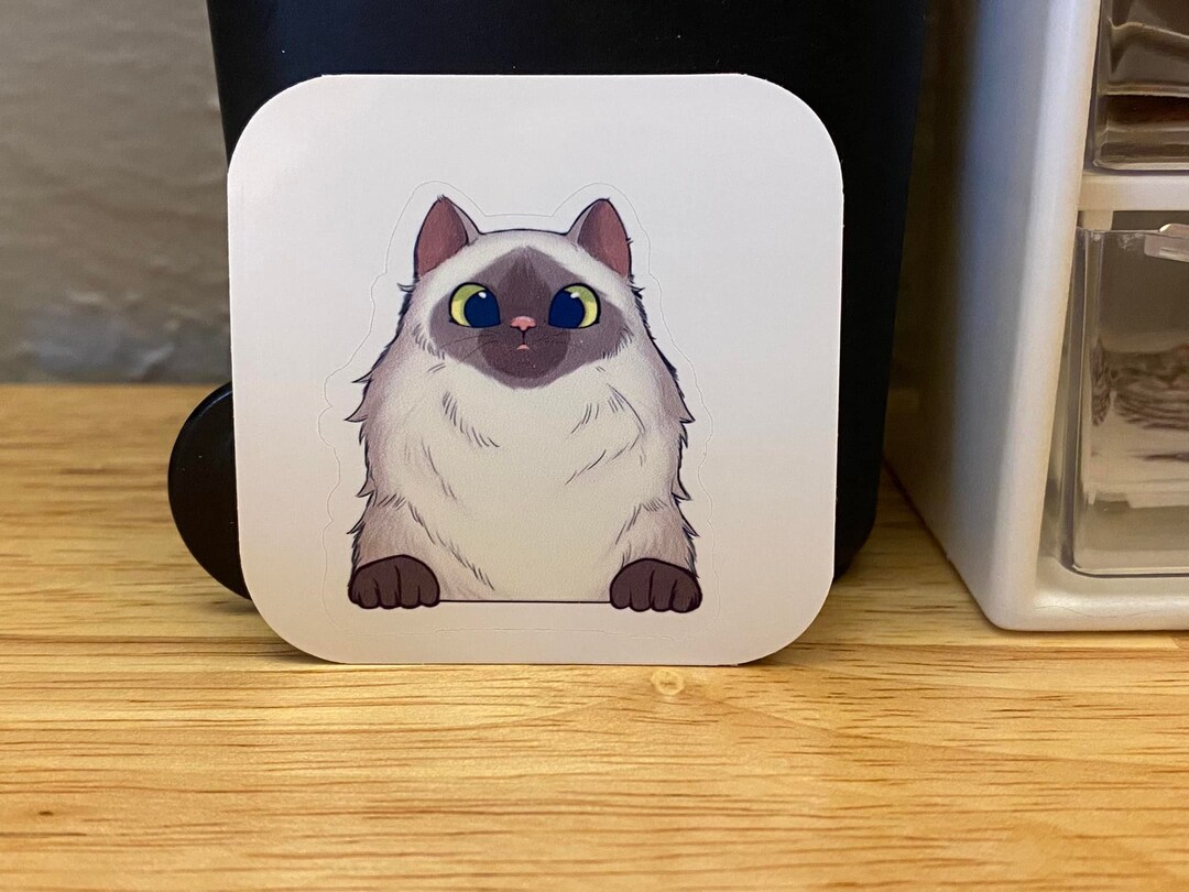 Himalayan Cat STICKER, White Fluffy Cat Sticker, White and Brown Faced ...