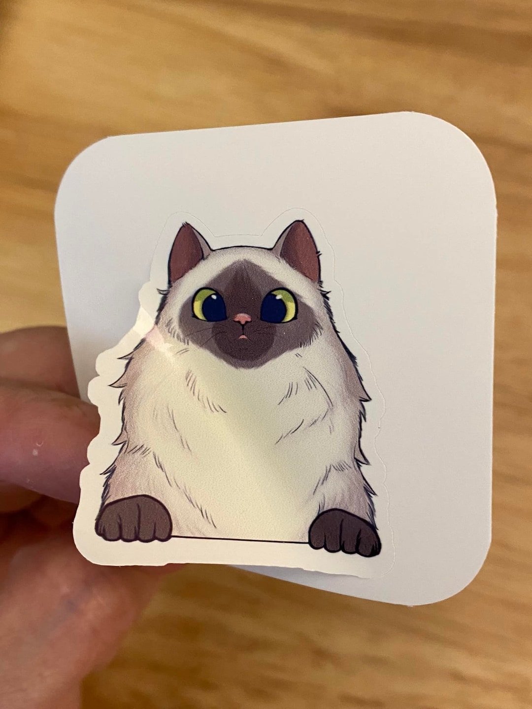 Himalayan Cat STICKER White Fluffy Cat Sticker White and - Etsy