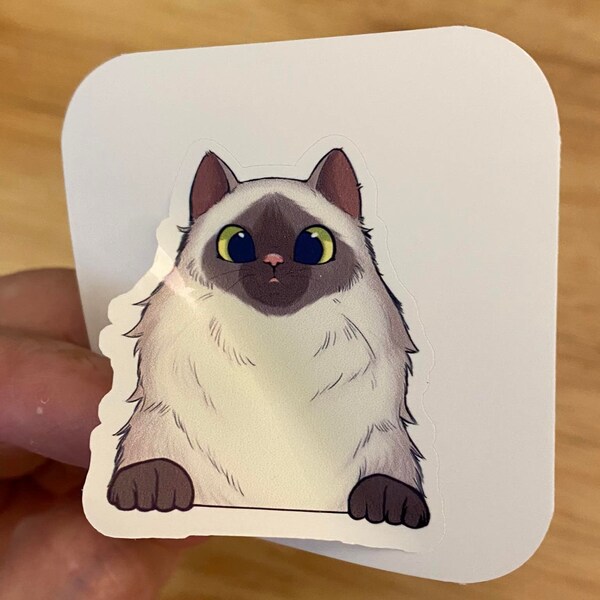 Himalayan Cat - Etsy